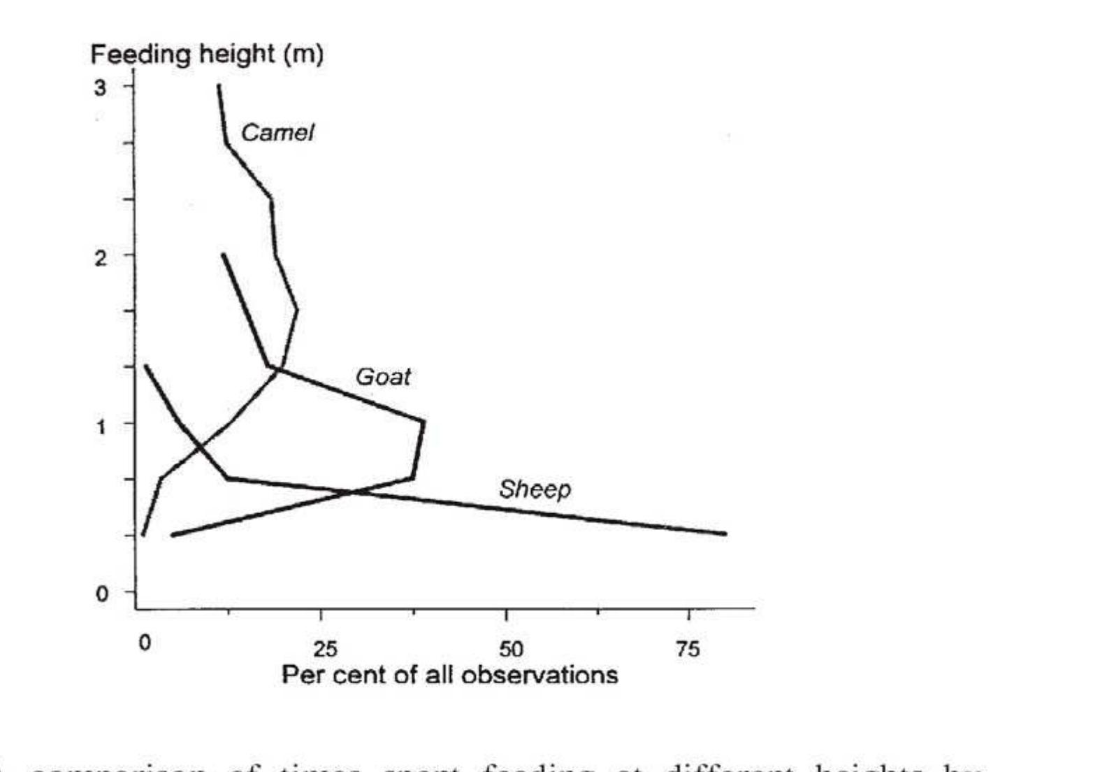 Figure 14 - ANATOMY OF THE DROMEDARIAN CAMEL