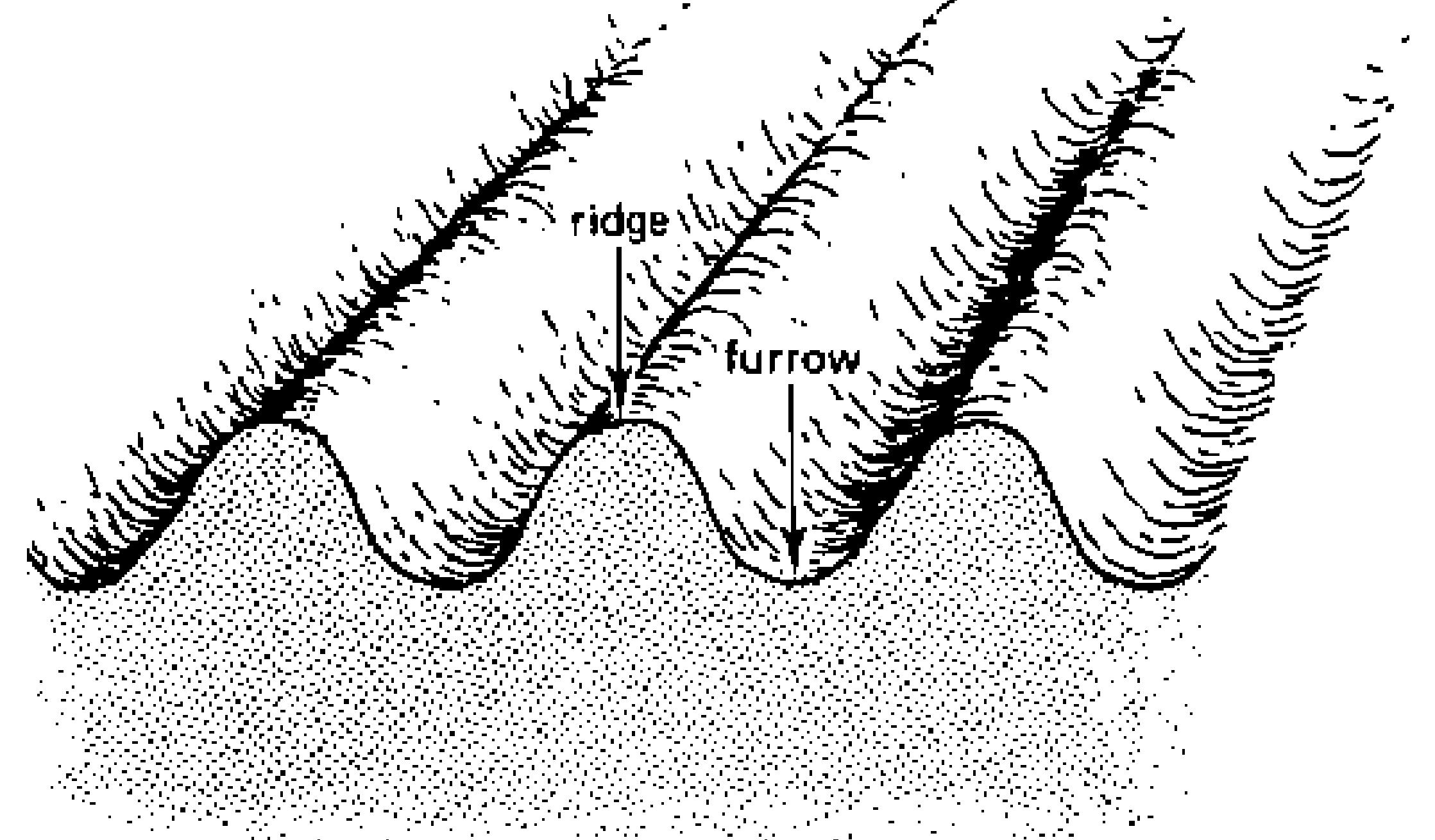 (PDF) Irrigation Water Management: Irrigation Methods FAO -FOOD AND ...