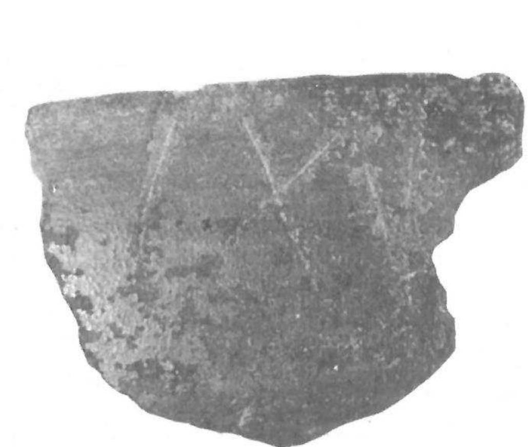 Anuradhapura and the early use of the brahmi script