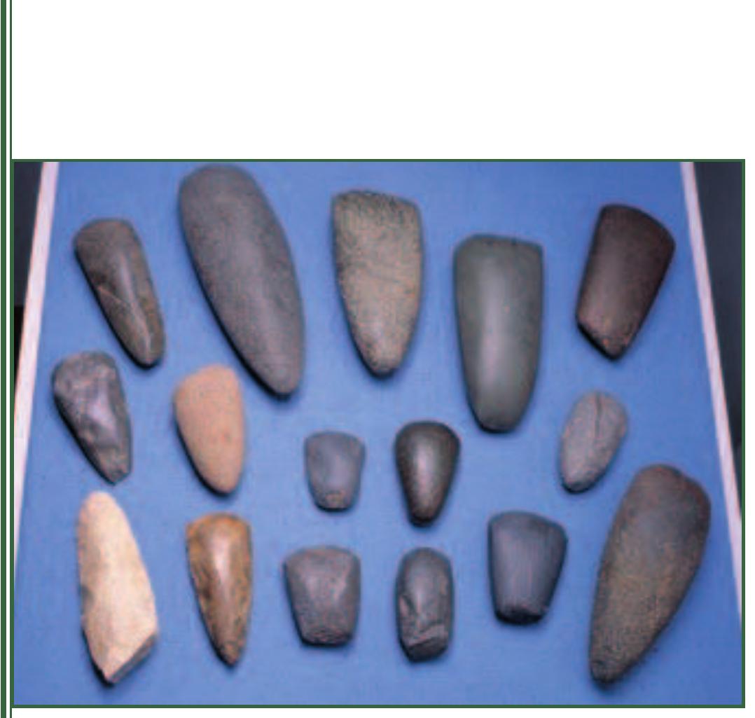 New stone age axes. these were fastened to a wooden shaft.