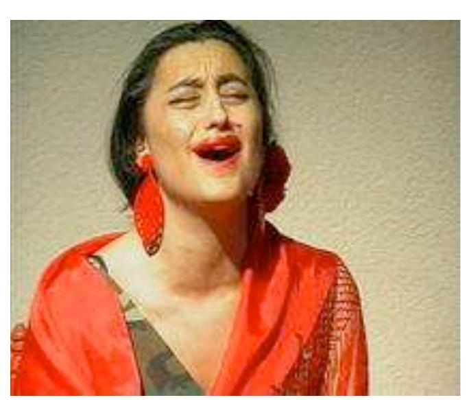 Pilar albarracin. prohibido el cante (forbidden singing)