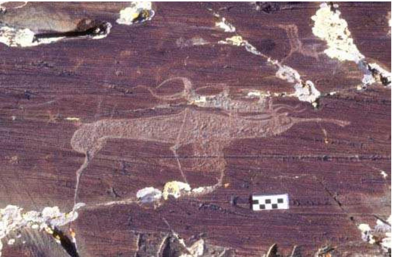 Figure 5 - Late Pleistocene and Early Holocene Rock Art from