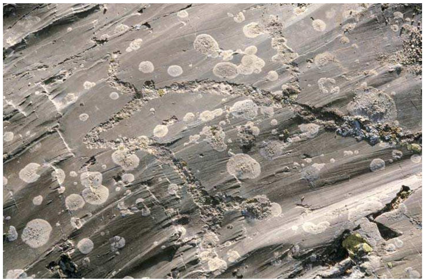 Figure 6 - Late Pleistocene and Early Holocene Rock Art from