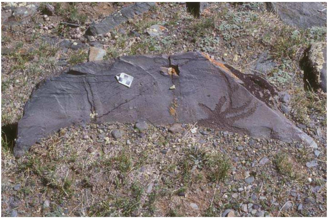 Figure 13 - Late Pleistocene and Early Holocene Rock Art