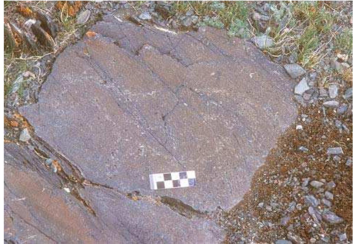 Figure 16 - Late Pleistocene and Early Holocene Rock Art