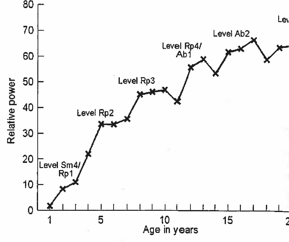 (PDF) Constructivist Theories