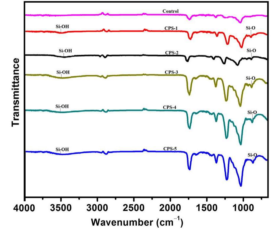 Ftir spectra of control and modified membranes. where r is