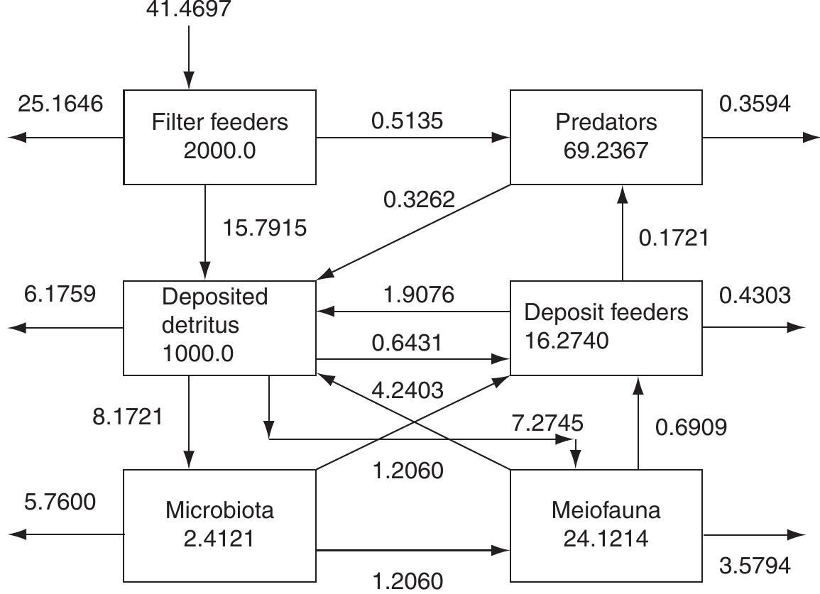 7 input/output model for energy flow (cal m~? d~') and