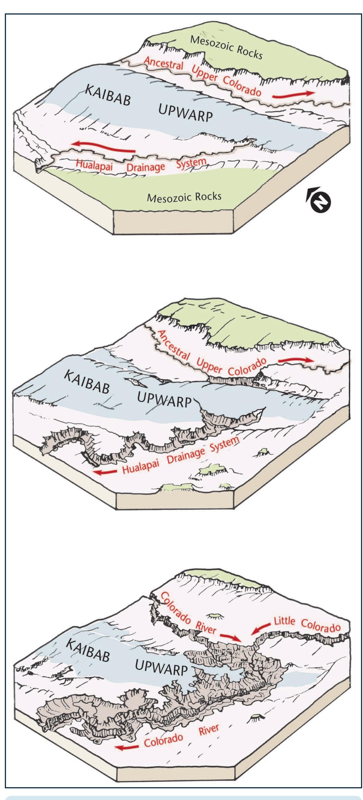 (PDF) Geology of Grand Canyon National Park: Sedimentation and Erosion ...