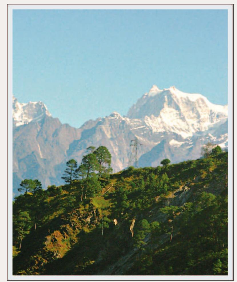 (PDF) Geology of the Himalayan