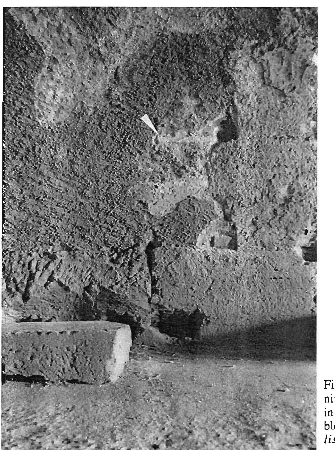 The travertine arcade separating the inner and outer