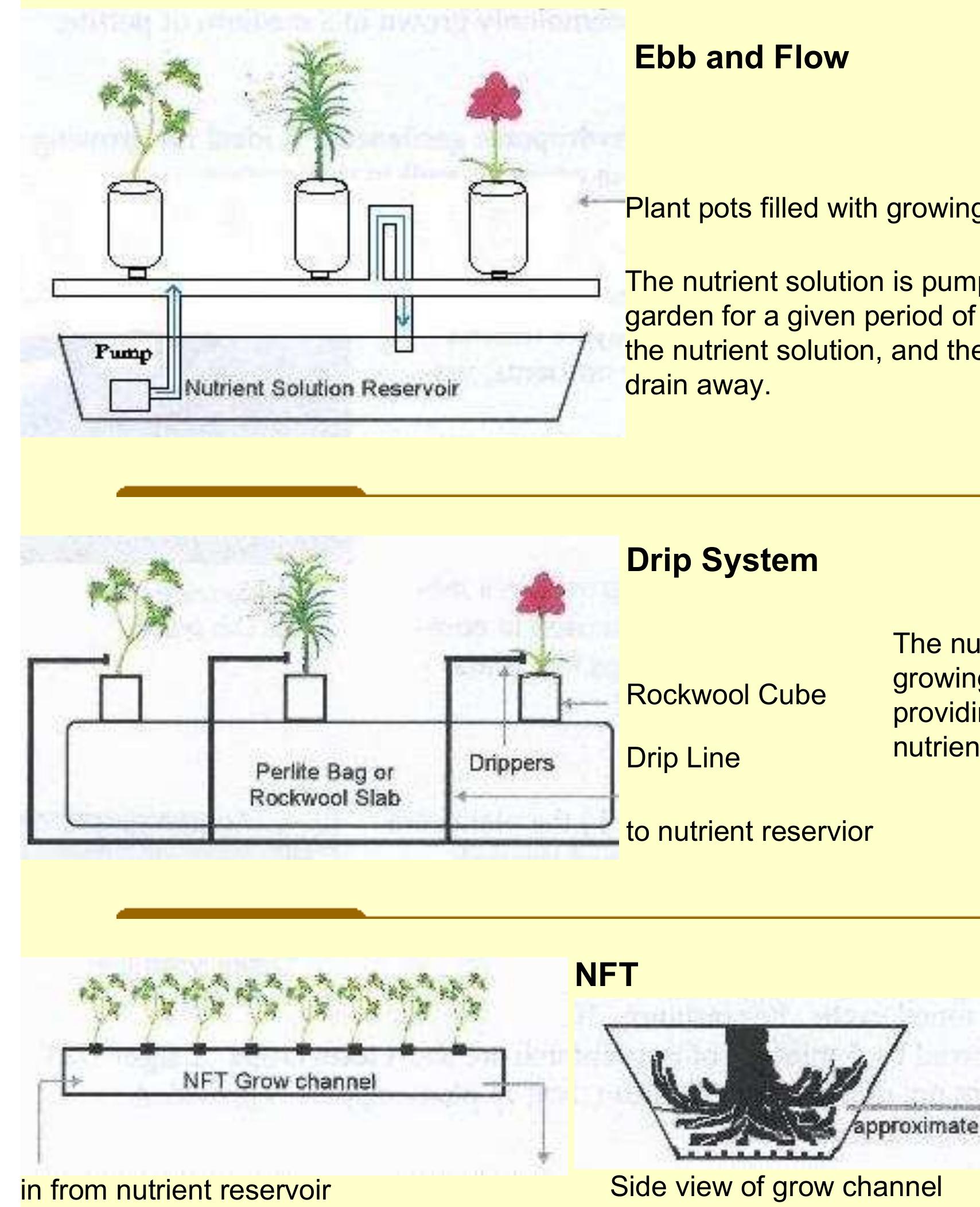 Figure 2 - Introduction to Hydroponics 1-2 Introduction to Figure 2 - Introduction to Hydroponics 1-2 Introduction to