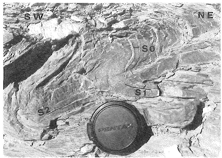 Figure 8 - The structure of the Caprauna-Armetta Unit