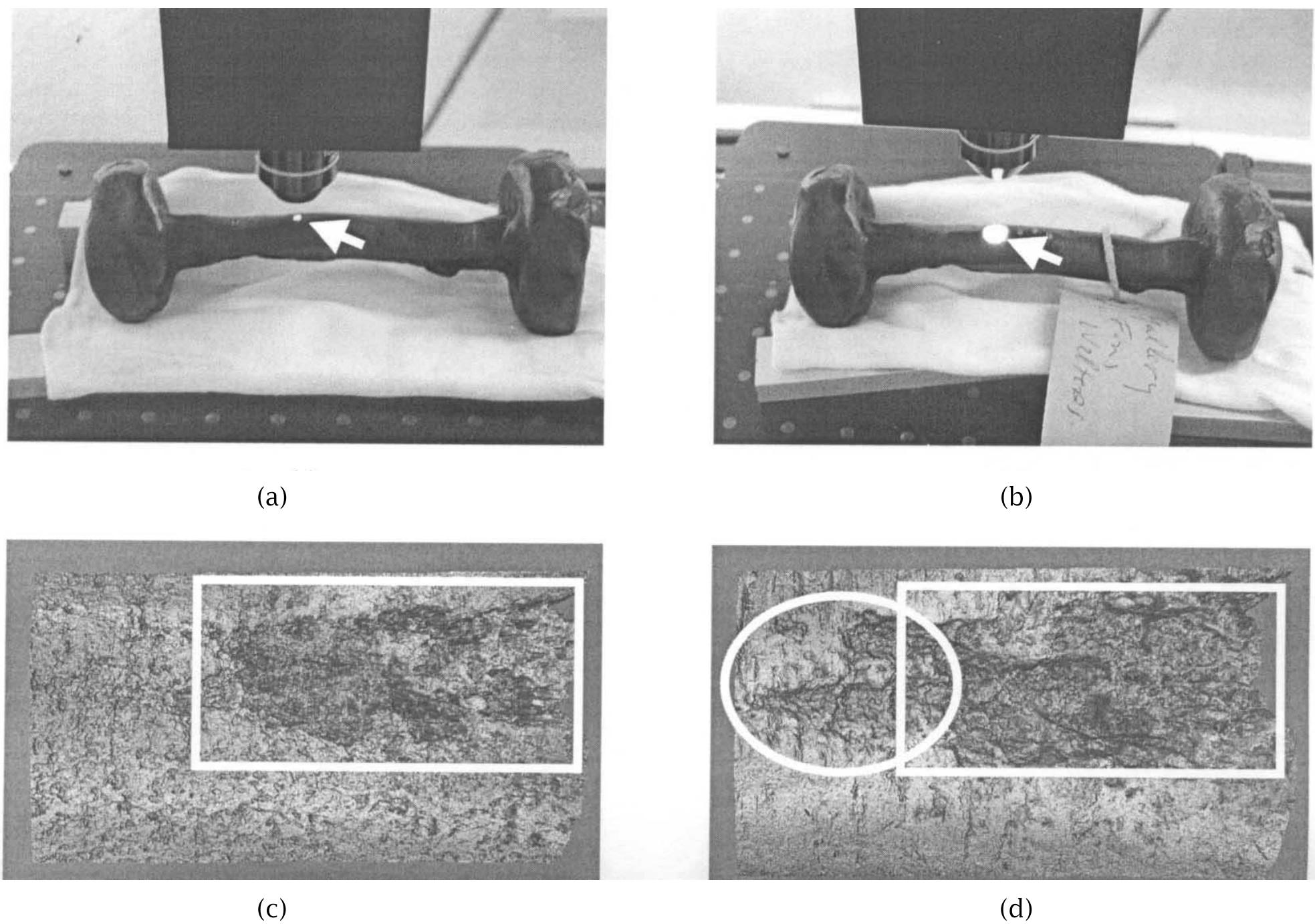 - comparison of roughness fingerprints taken from the same