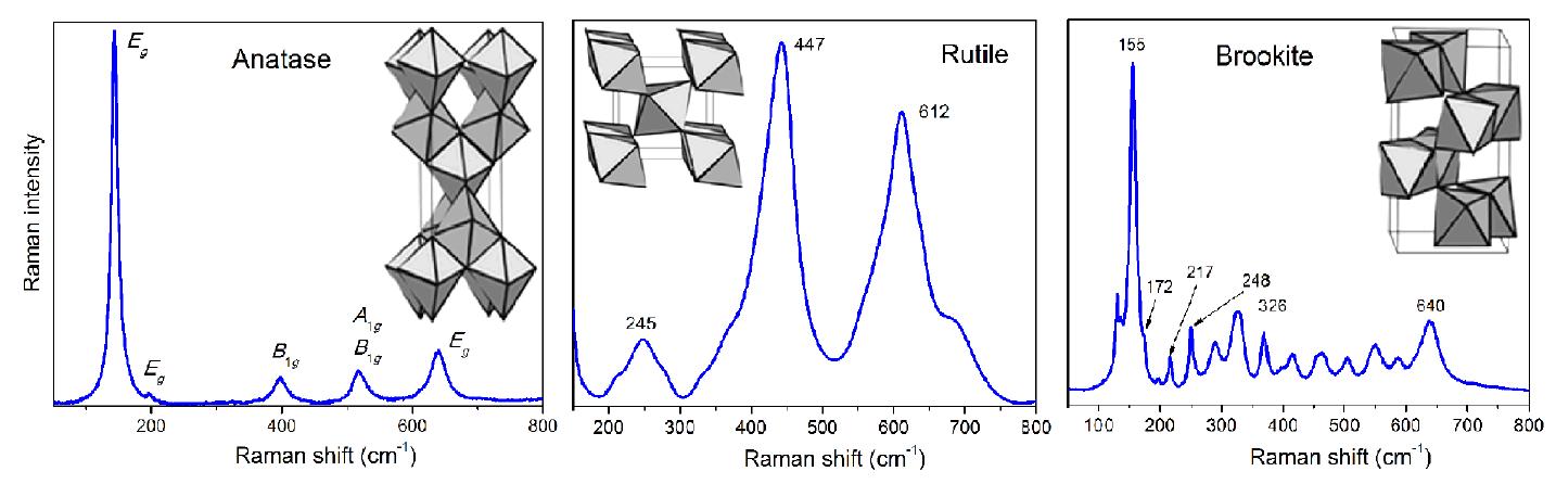 Ig. 1. the raman spectra of titanium dioxide polymorphs