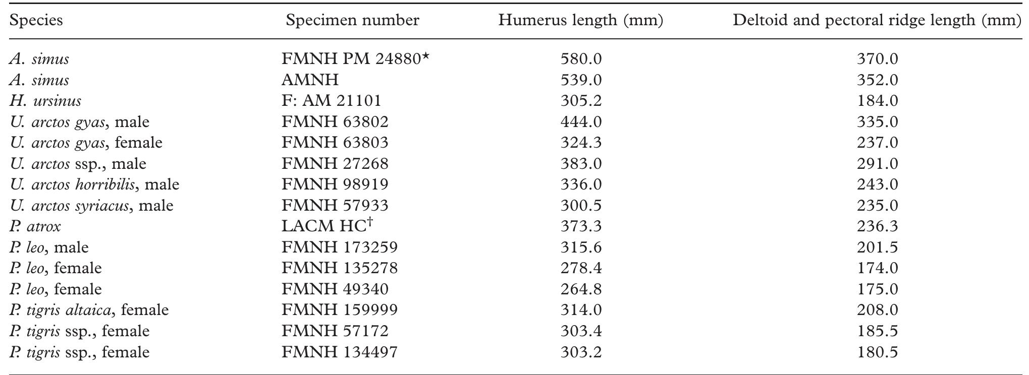 * only the measurements of the left humerus of the specimen