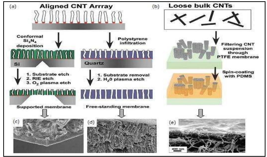 Fabrication of cnt membranes; process flow diagrams for the