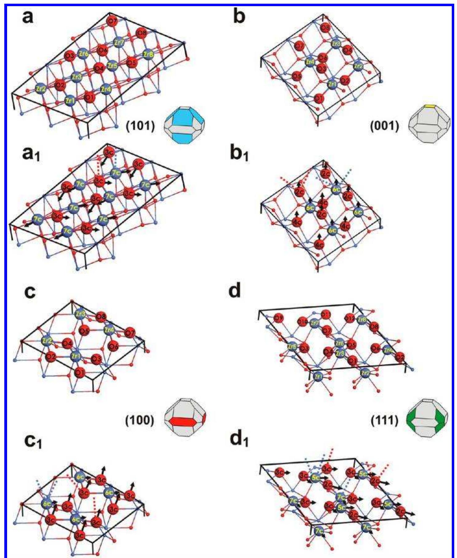 Top-lateral views of the surface structure of the exposed