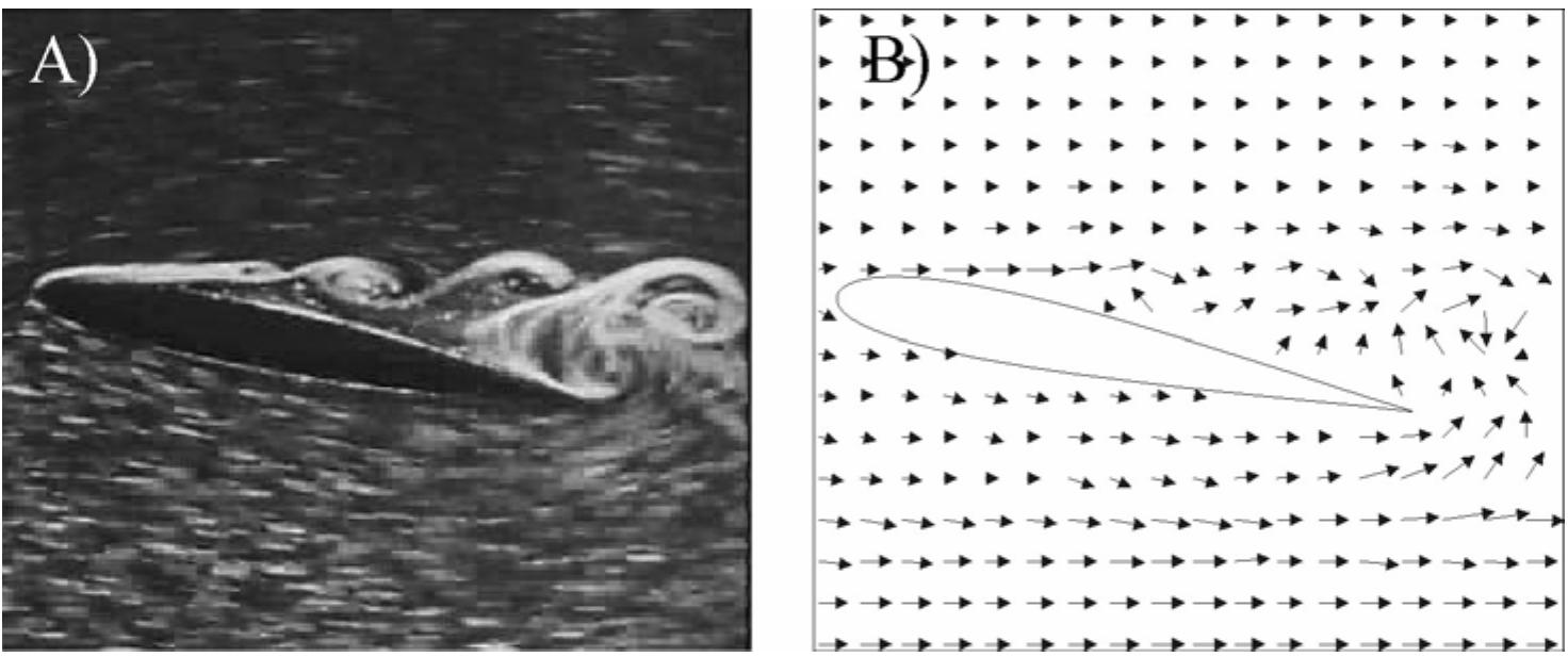 Cross section of a fin with a 5 degree angle through a