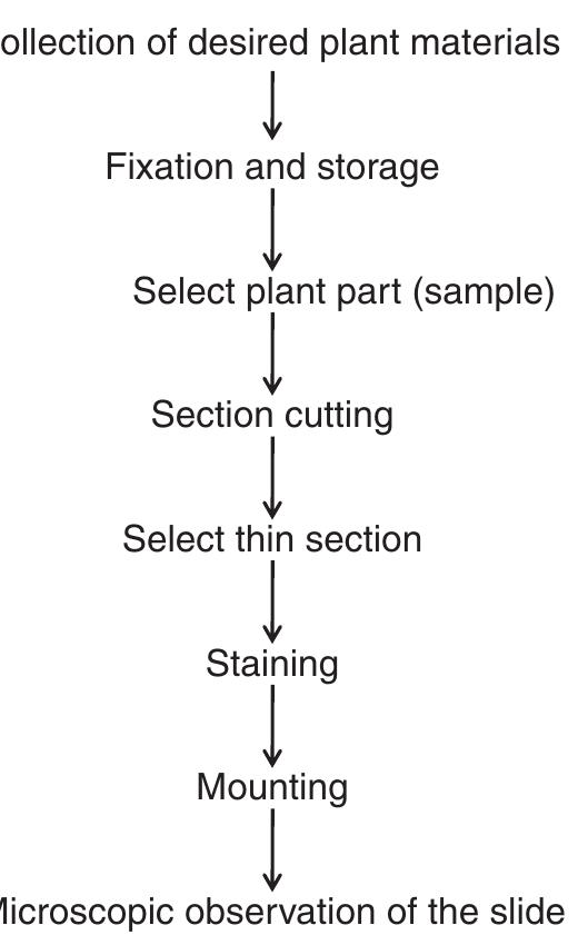 1. basic steps in microscopic observation of plant parts.