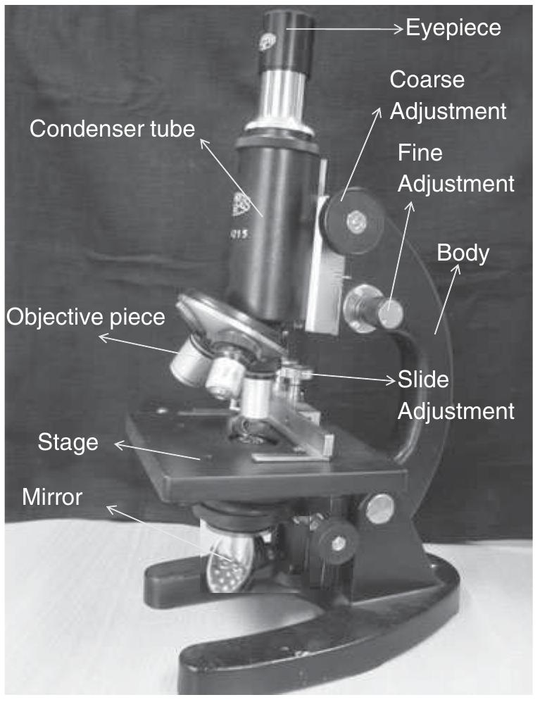 2. parts of a compound microscope.