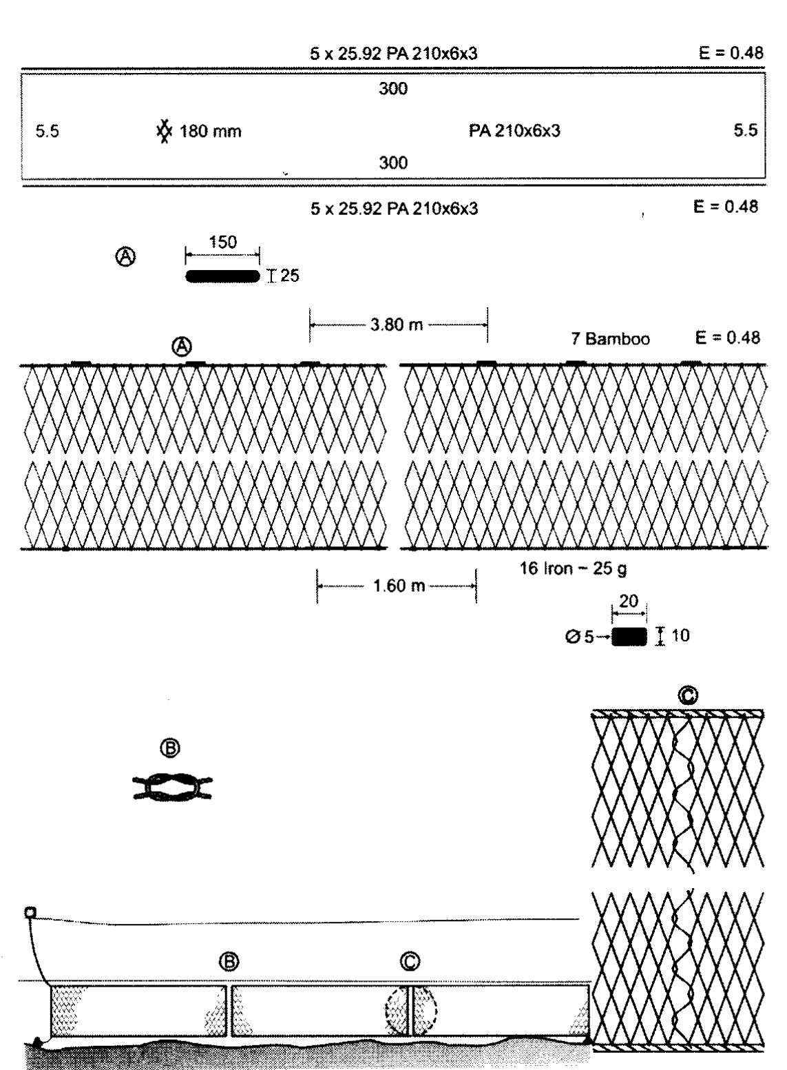 Design of wallago attu gill net from dhubri spp. hilsa gill
