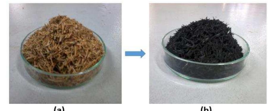 (PDF) extraction of silica from rice husk