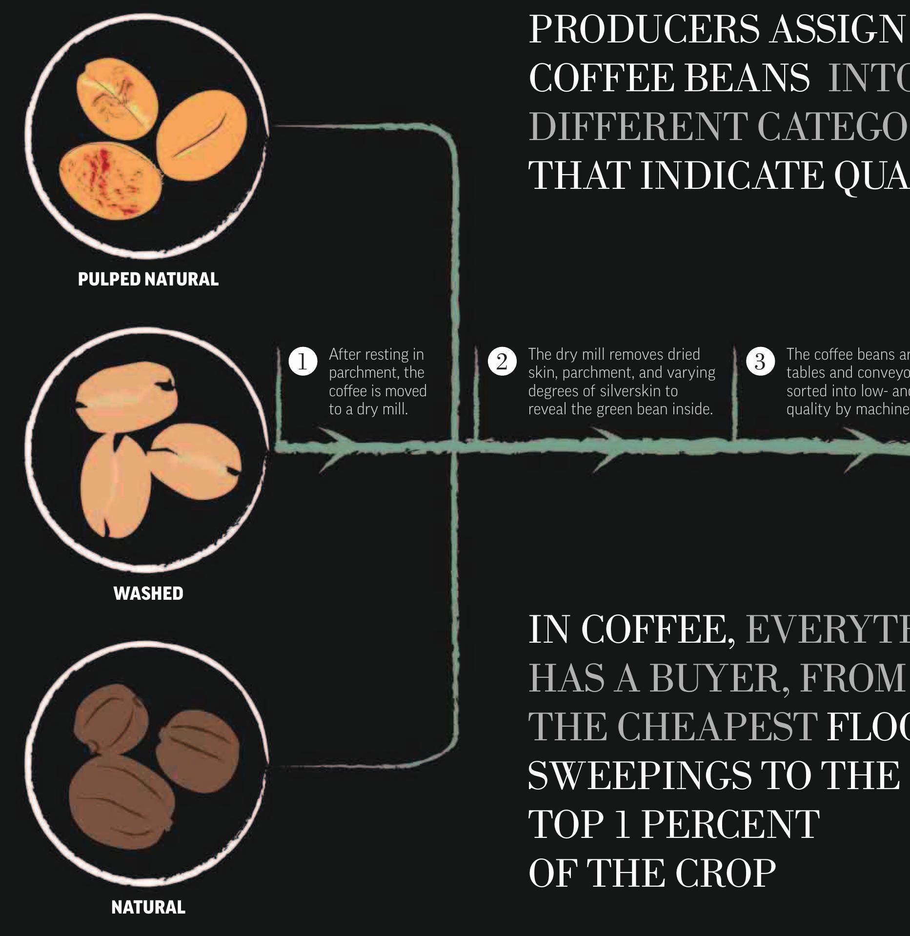 (PDF) Coffee Obsession