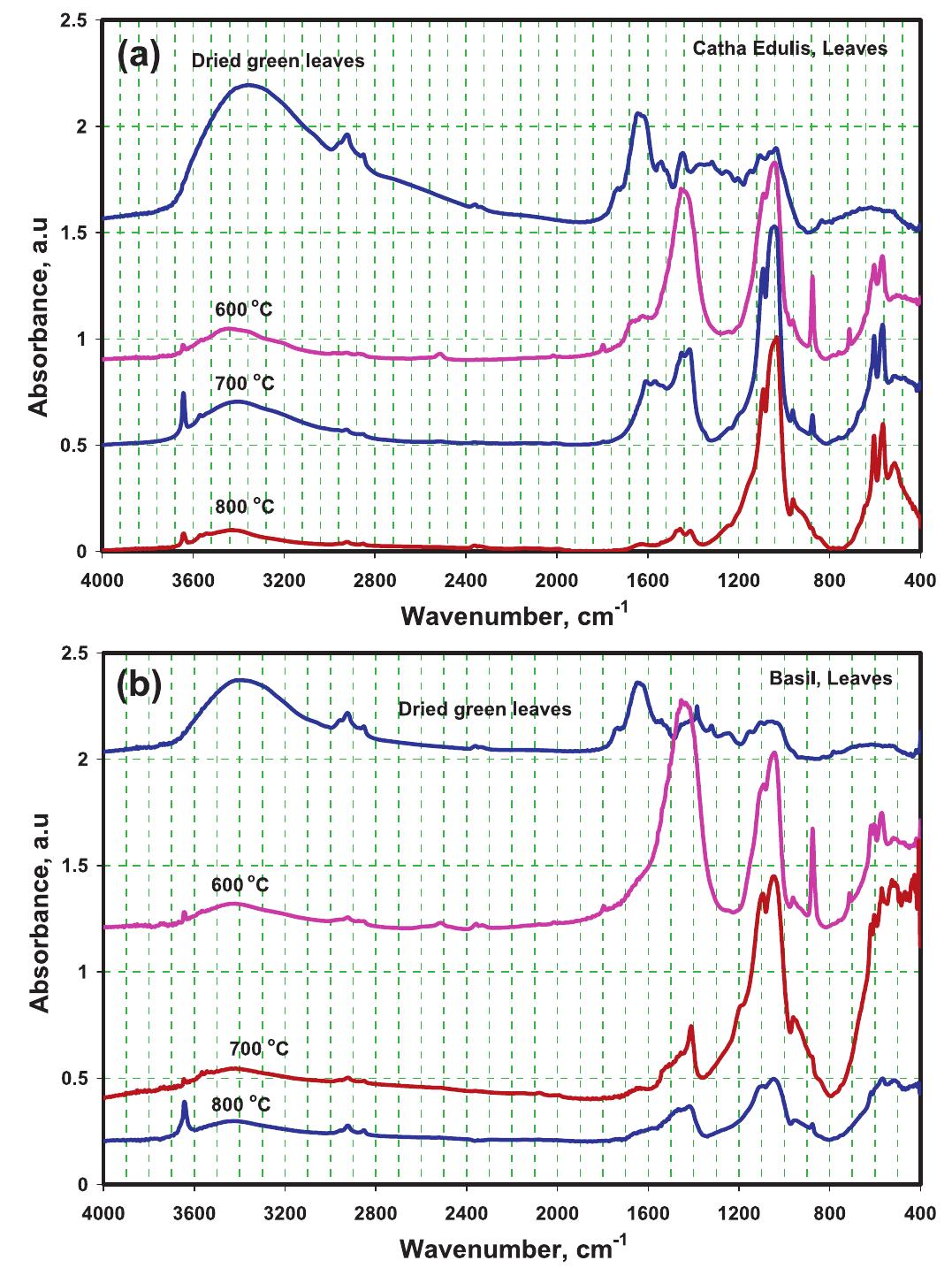 Ftir spectra of plant leaves of catha edulis and basil.