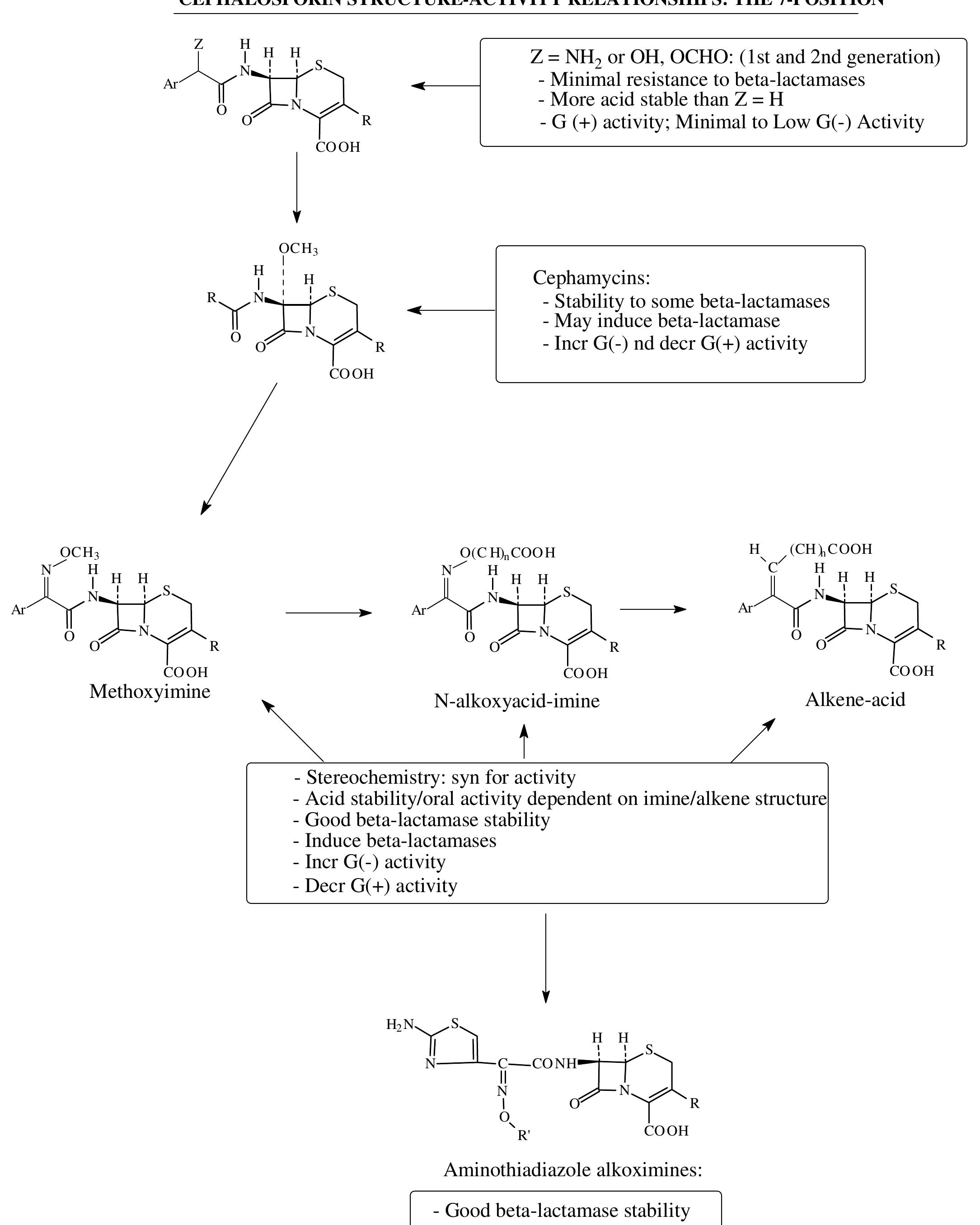 Figure 3 - CEPHALOSPORIN STRUCTURE-ACTIVITY RELATIONSHIP