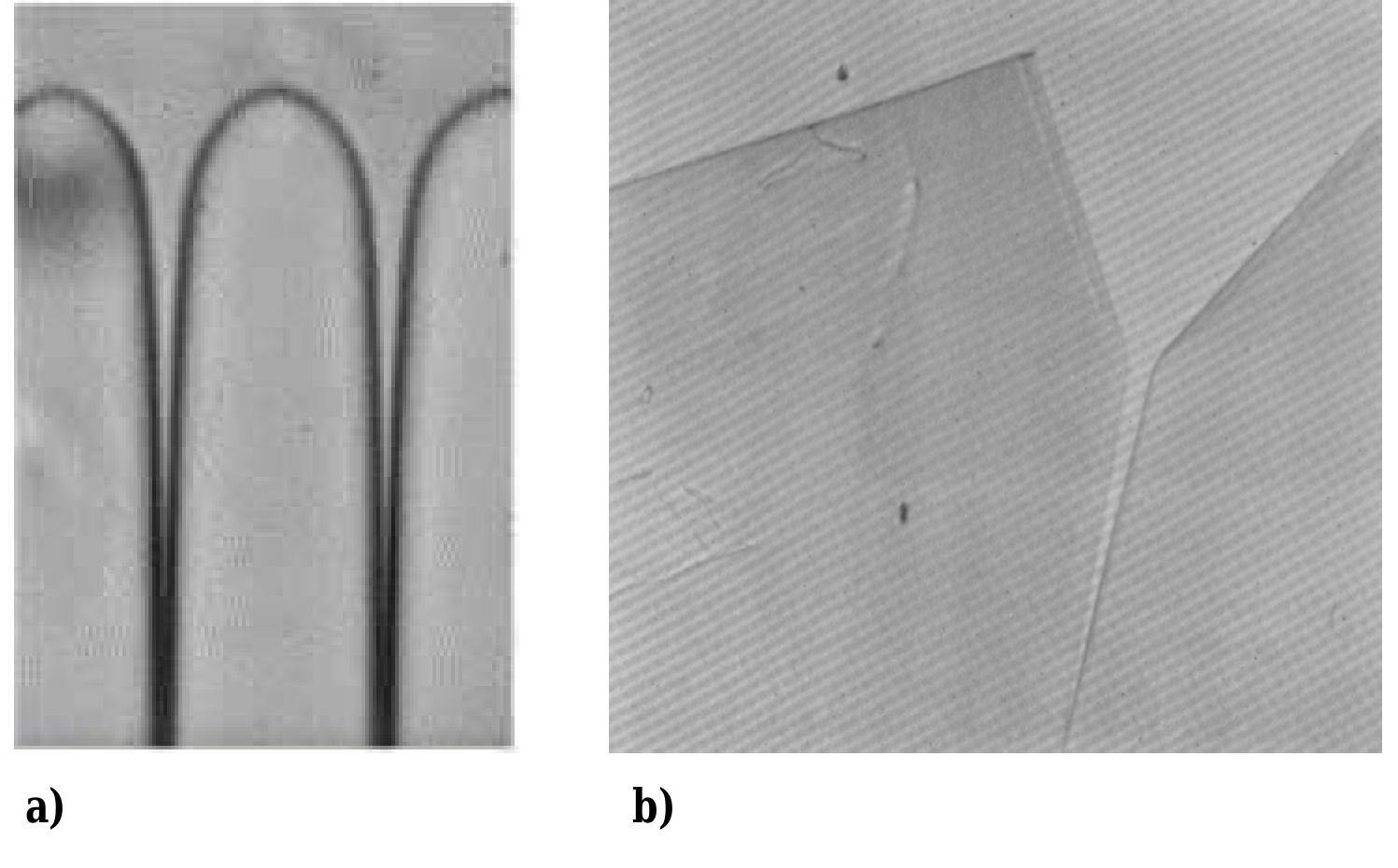 14. morphology of the growth fronts of transparent organic