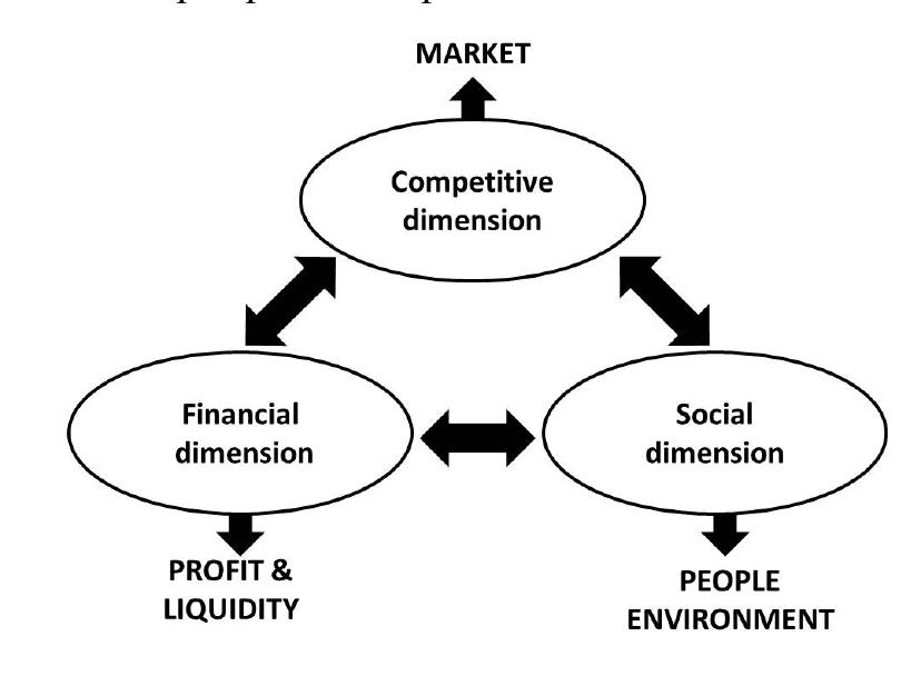A multidimensional perspective of performance dimensions