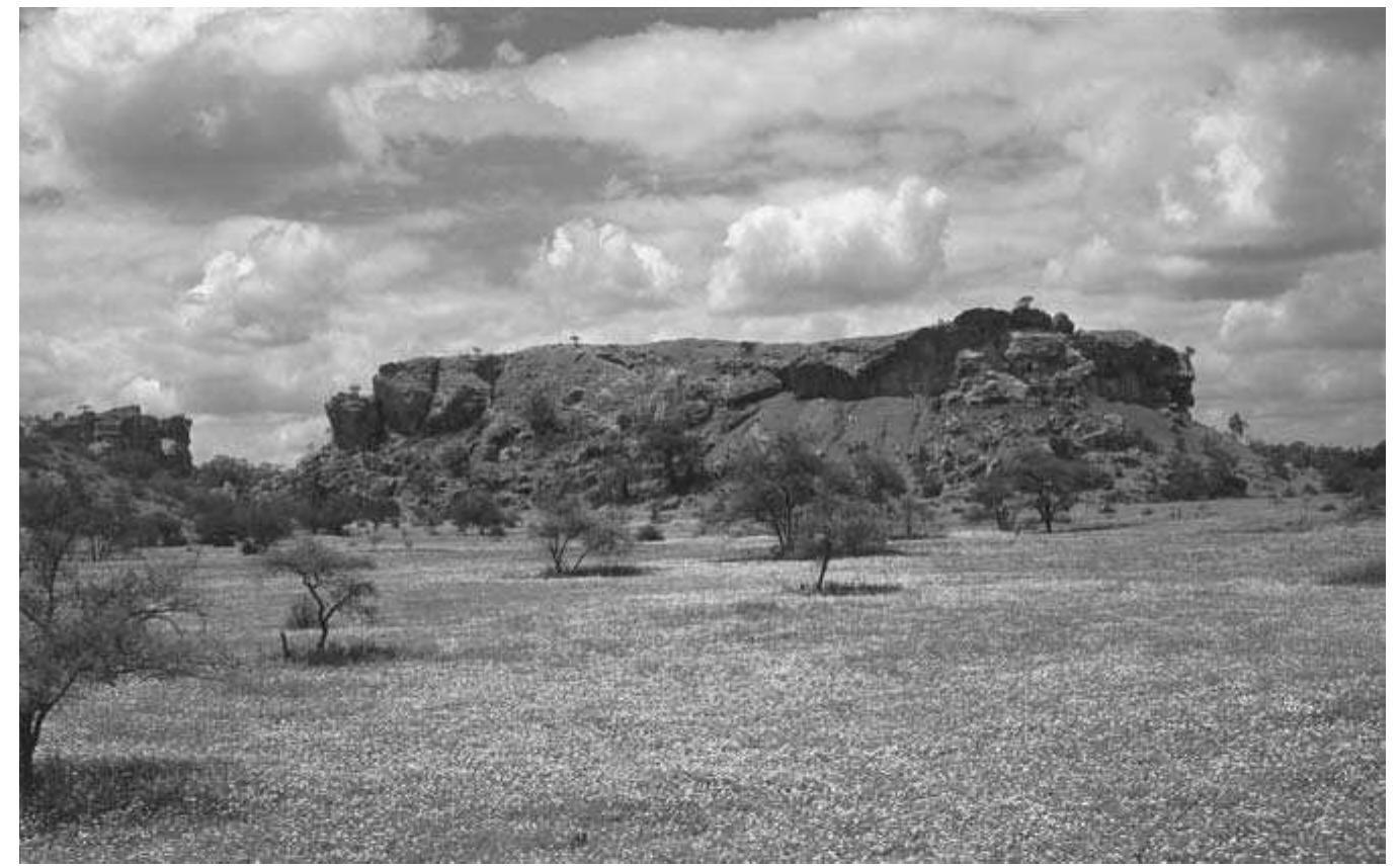 Mapungubwe hill, mapungubwe national park, 2005. photograph