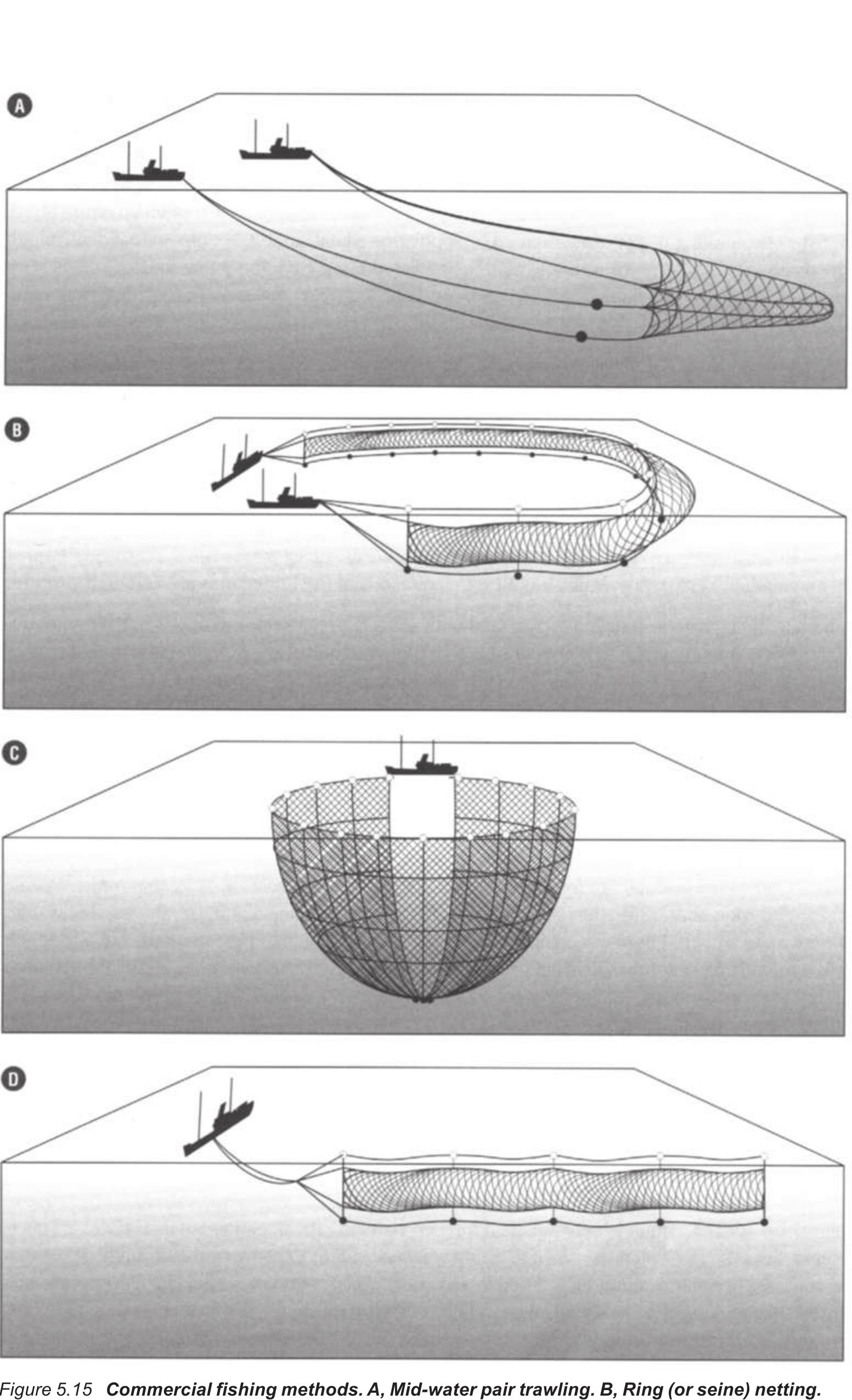 Figure 91 - Basics of Environmental Science