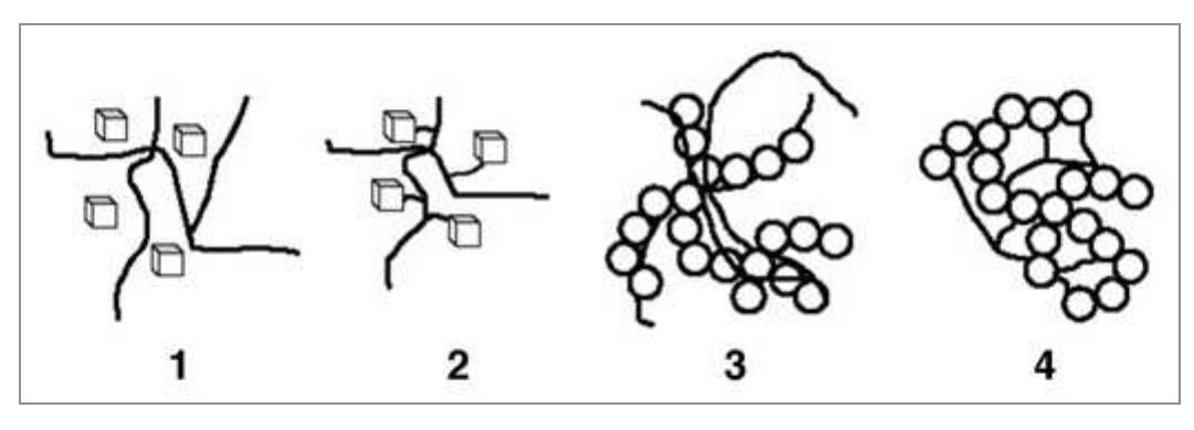 Four types of mutual arrangements of nano-sized particles to