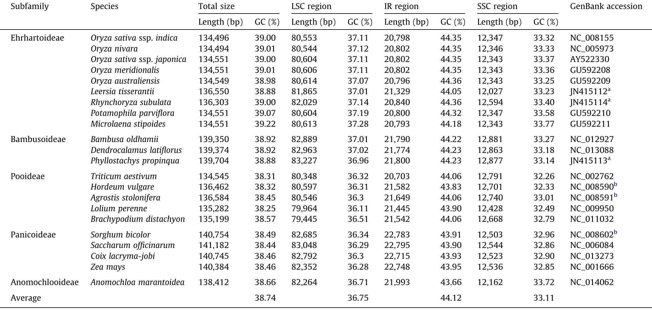 Comparison of major features of 22 poaceae chloroplast