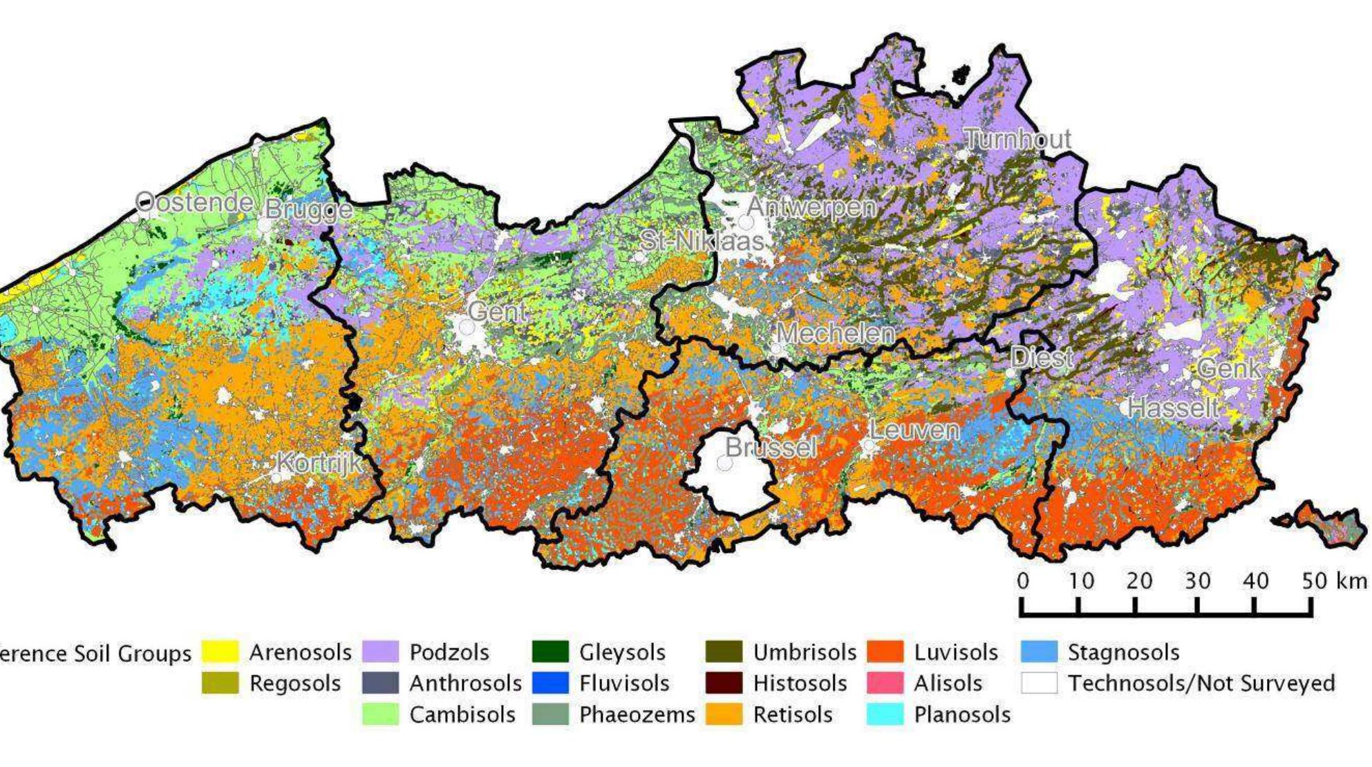 Figure 1 - The soil map of the Flemish region converted to