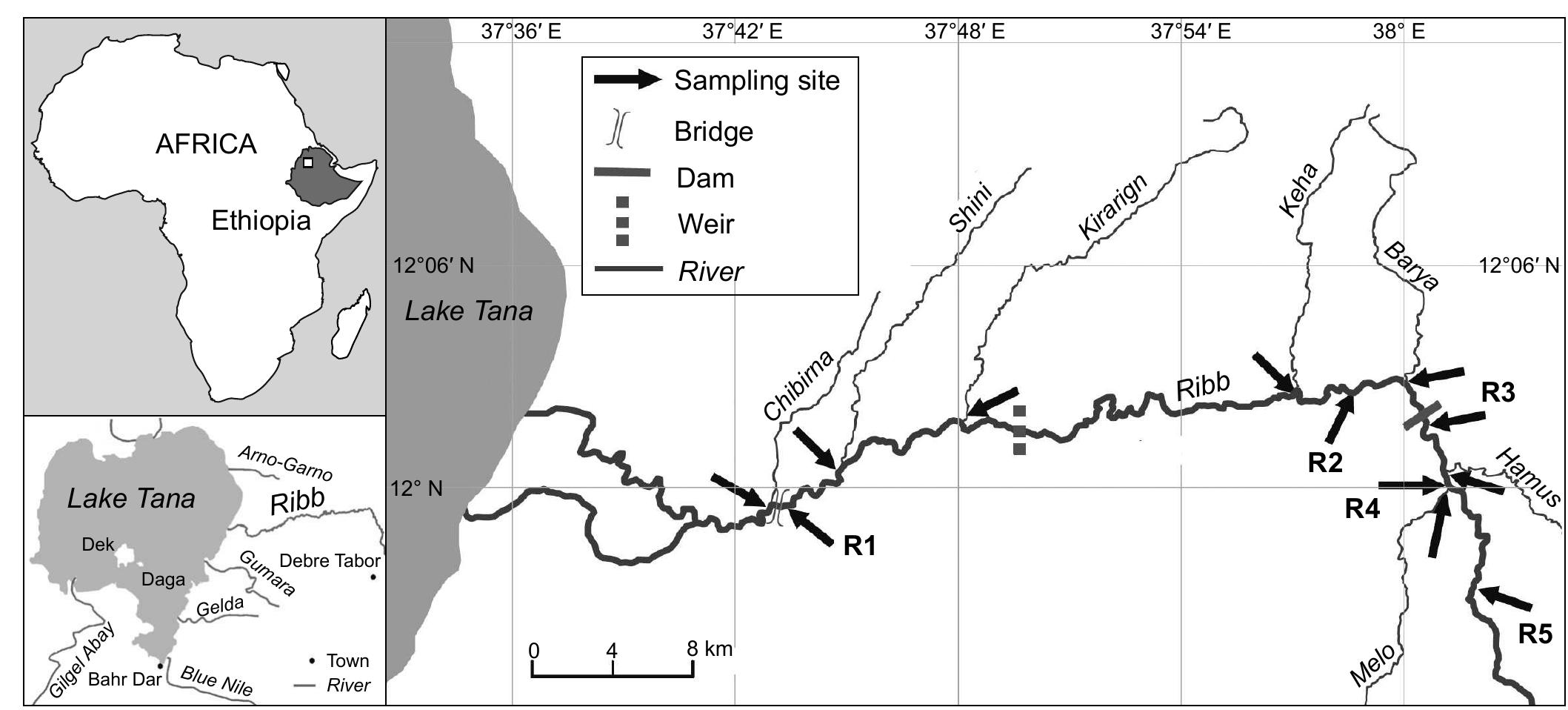 Map of lake tana and its seven perennial feeder rivers and