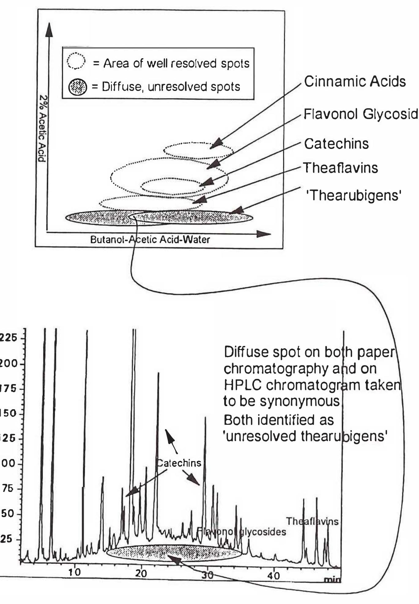 Paper chromatography vs. hplc.
