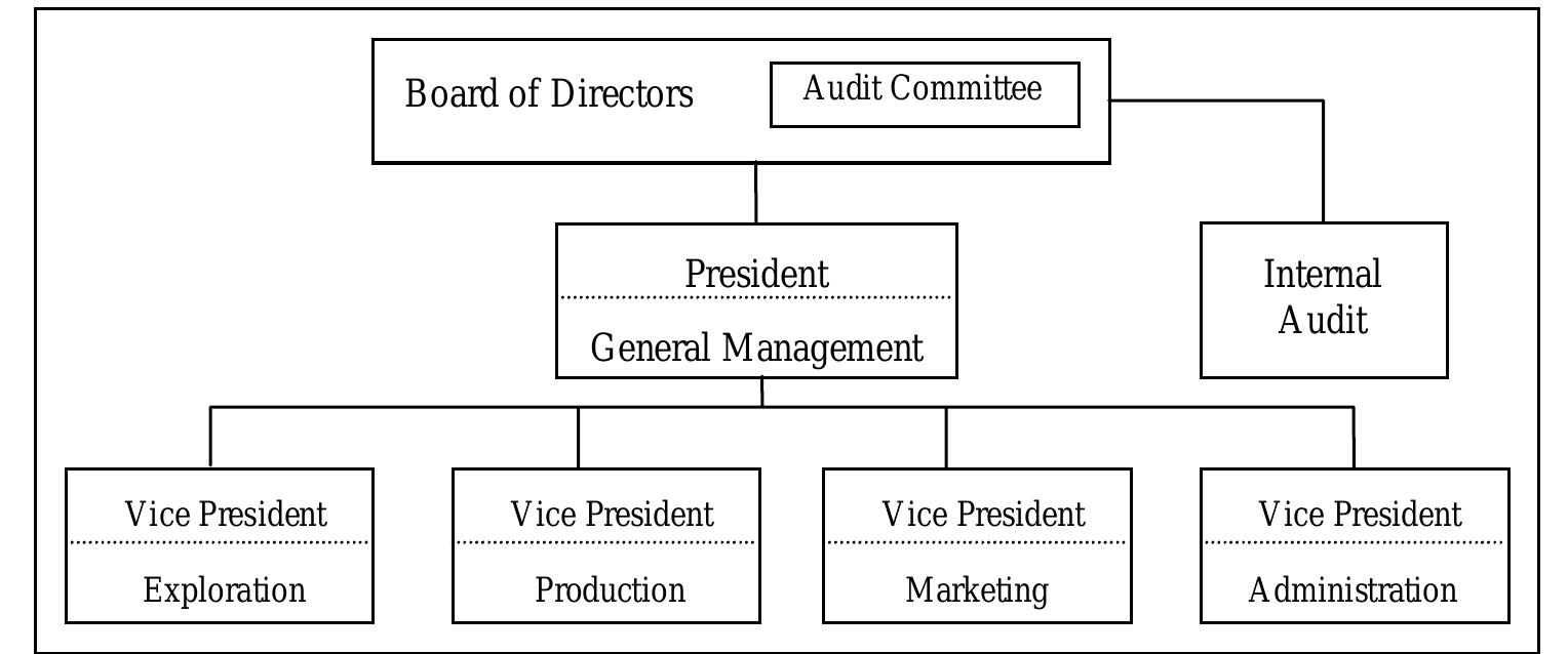(PDF) ORGANIZATION OF AN E&P COMPANY