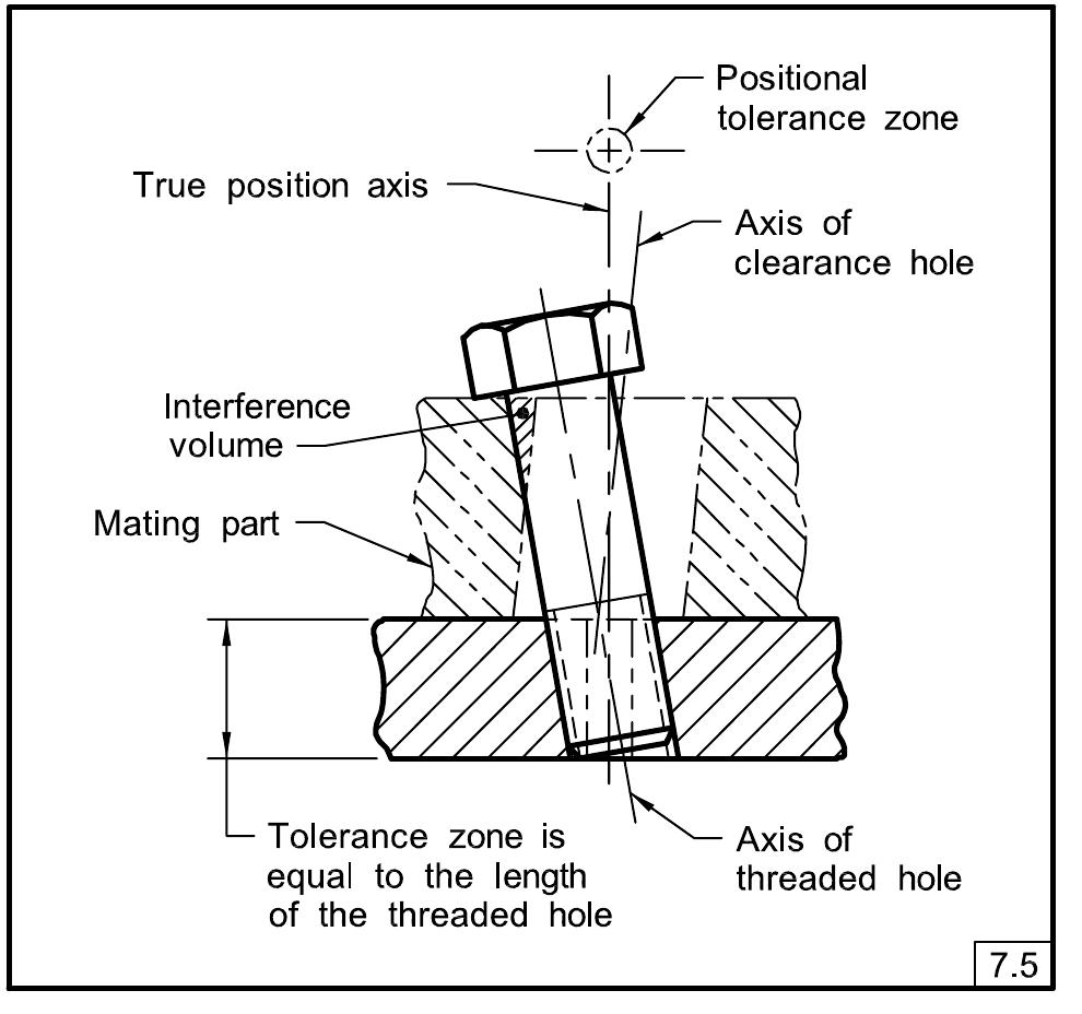 -19 interference diagram, fastener and hole