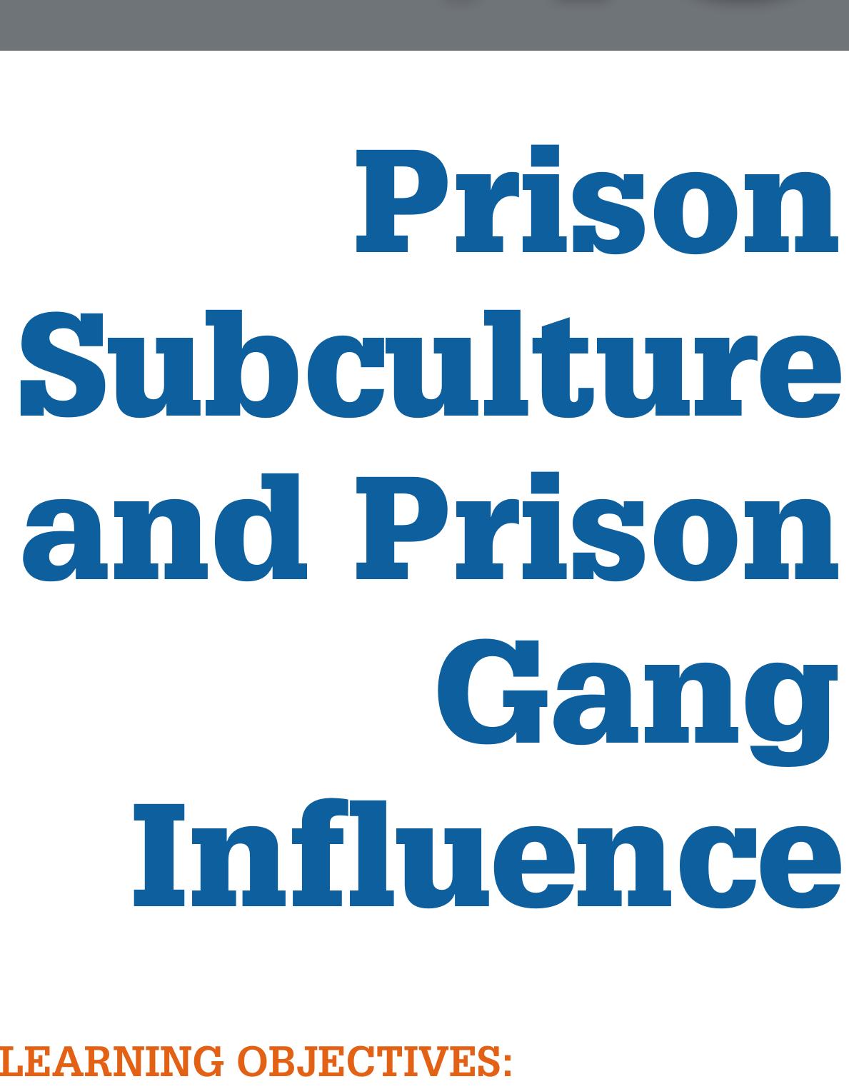 Figure 1 - Prison Subculture and Prison Gang influence