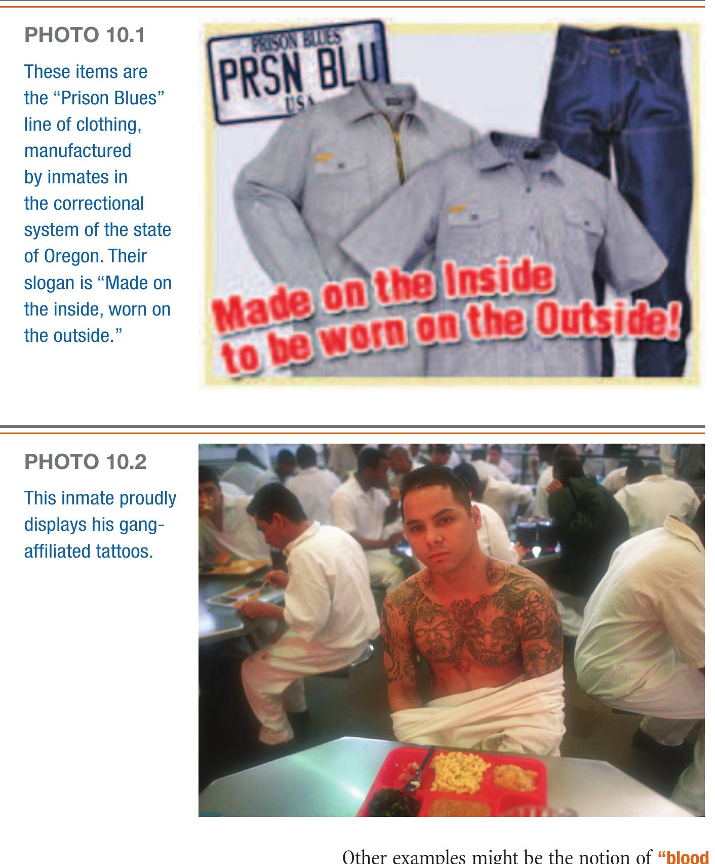 (PDF) Prison Subculture and Prison Gang influence