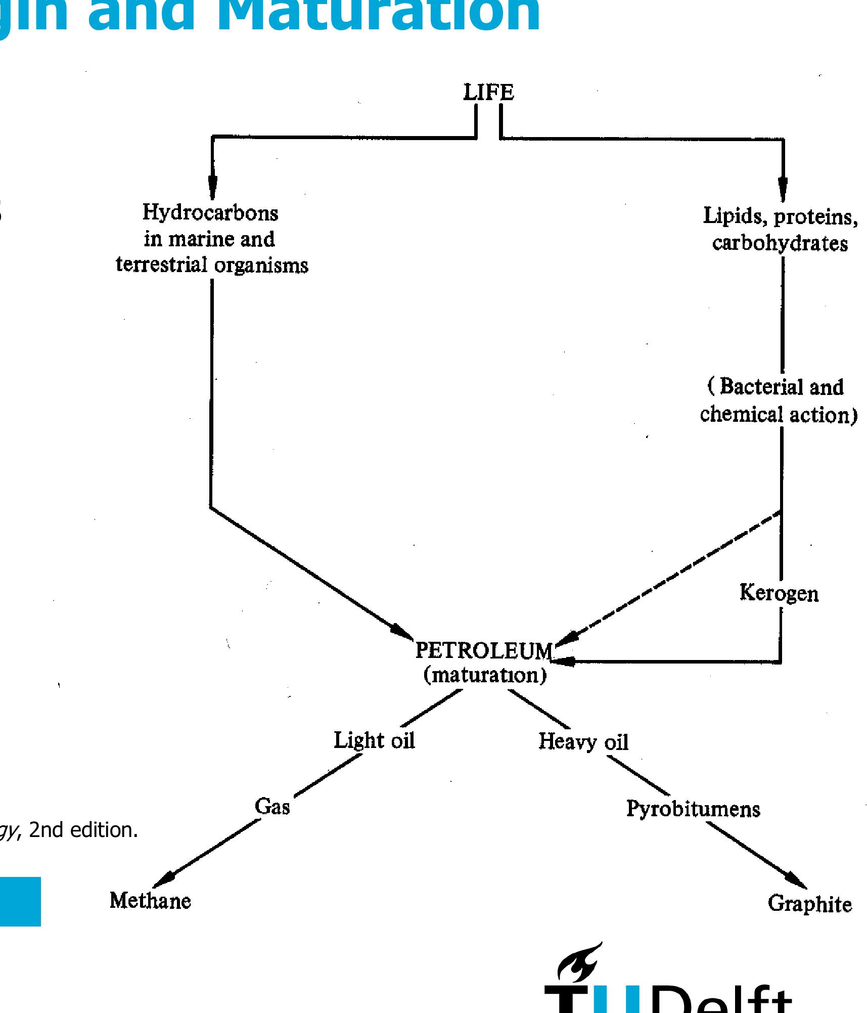 Figure 24 - Petroleum Geology AES/TA 3820 The Carbon Cycle,