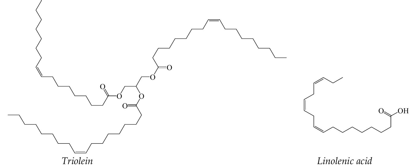 Basic Structure Of A Triglyceride And A Fatty Acid Commonly