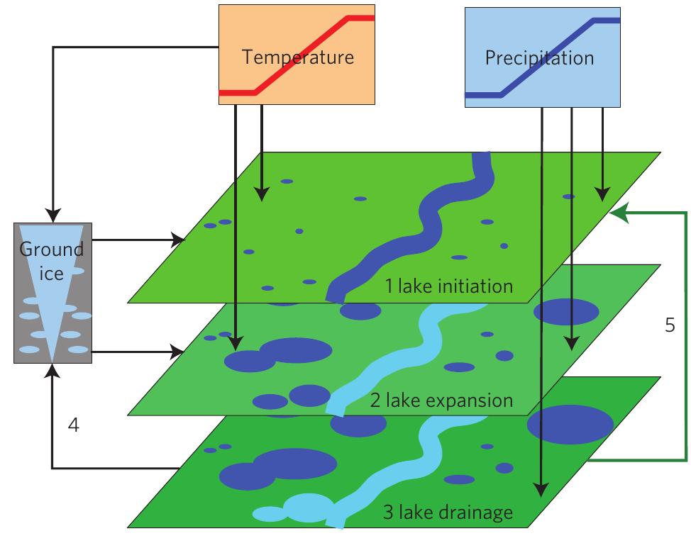 | schematic of the thaw lake cycle model. the rate of lake