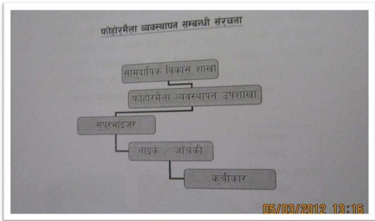 Flow chart of organizational structure of rm proper