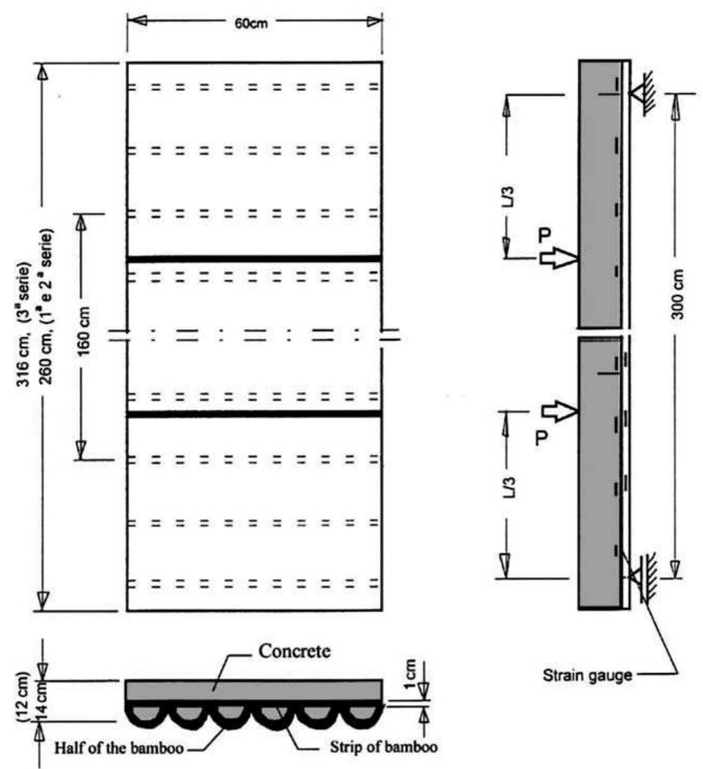 Dimensions of the concrete slabs reinforced with bamboo