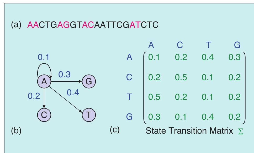 Explaining the basic principle of the markov model. (a) a