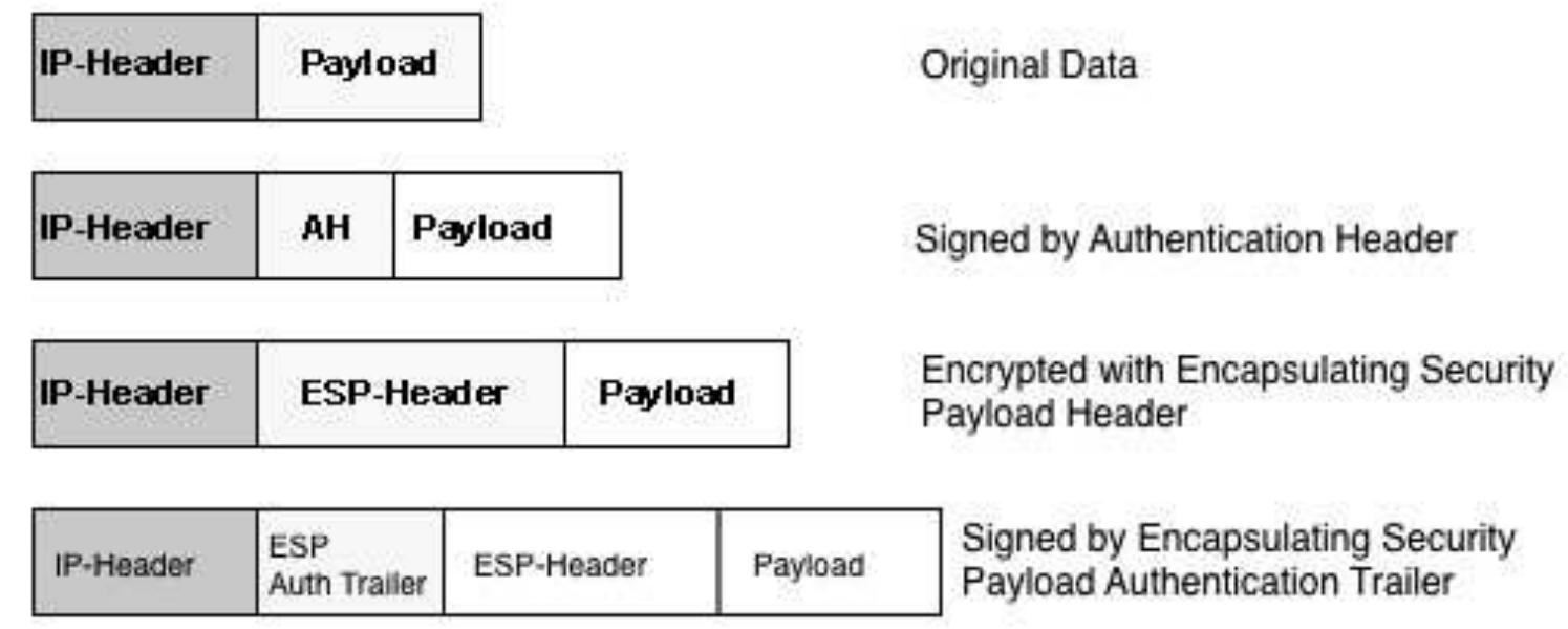 Figure 1 - IPSec: Protocol Challenges and Performance